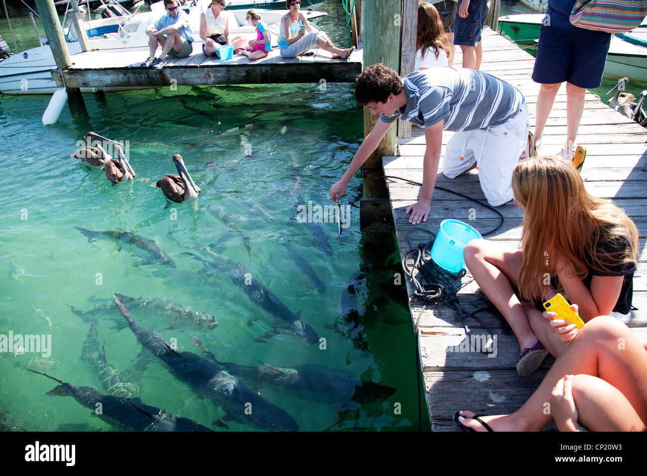 Robbie S Marina Robbie's Of Islamorada | Best Place To Visit In