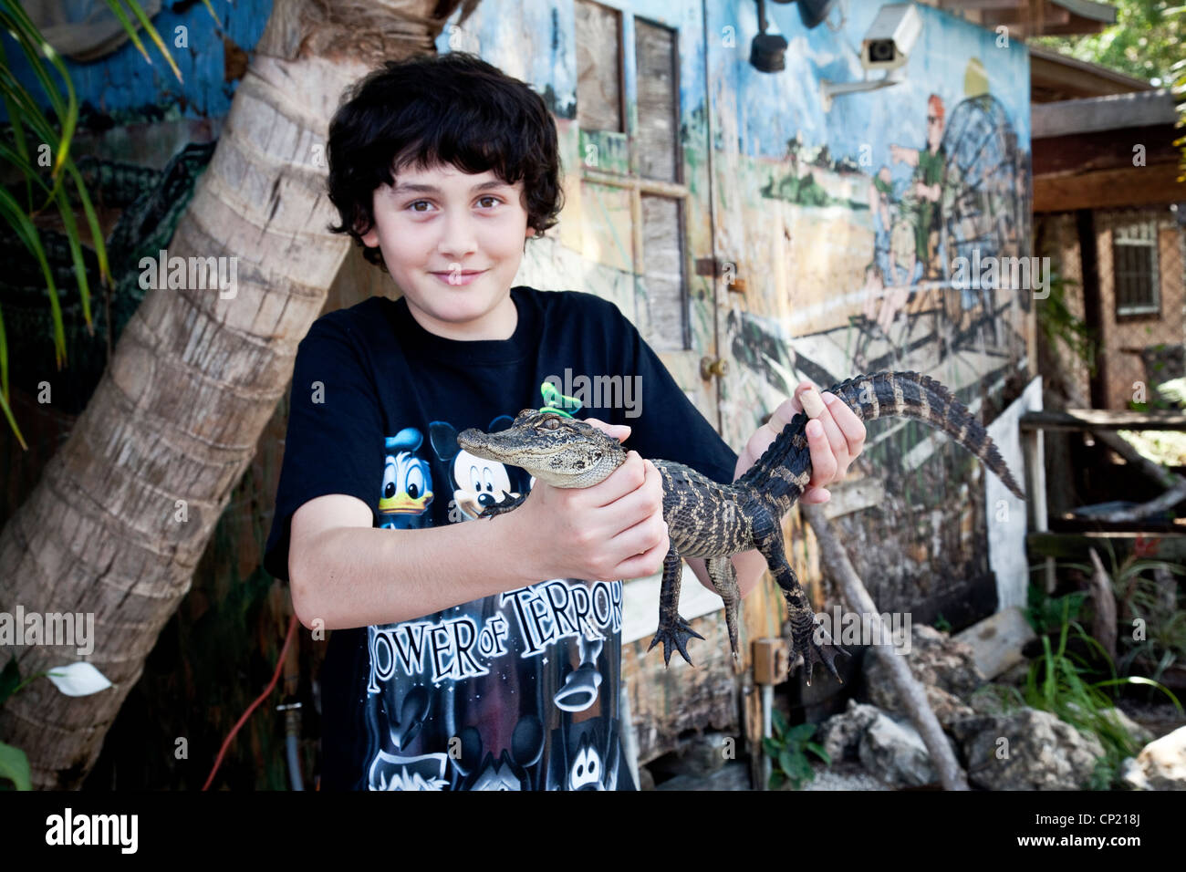 Teenager holding baby alligator hi-res stock photography and images - Alamy