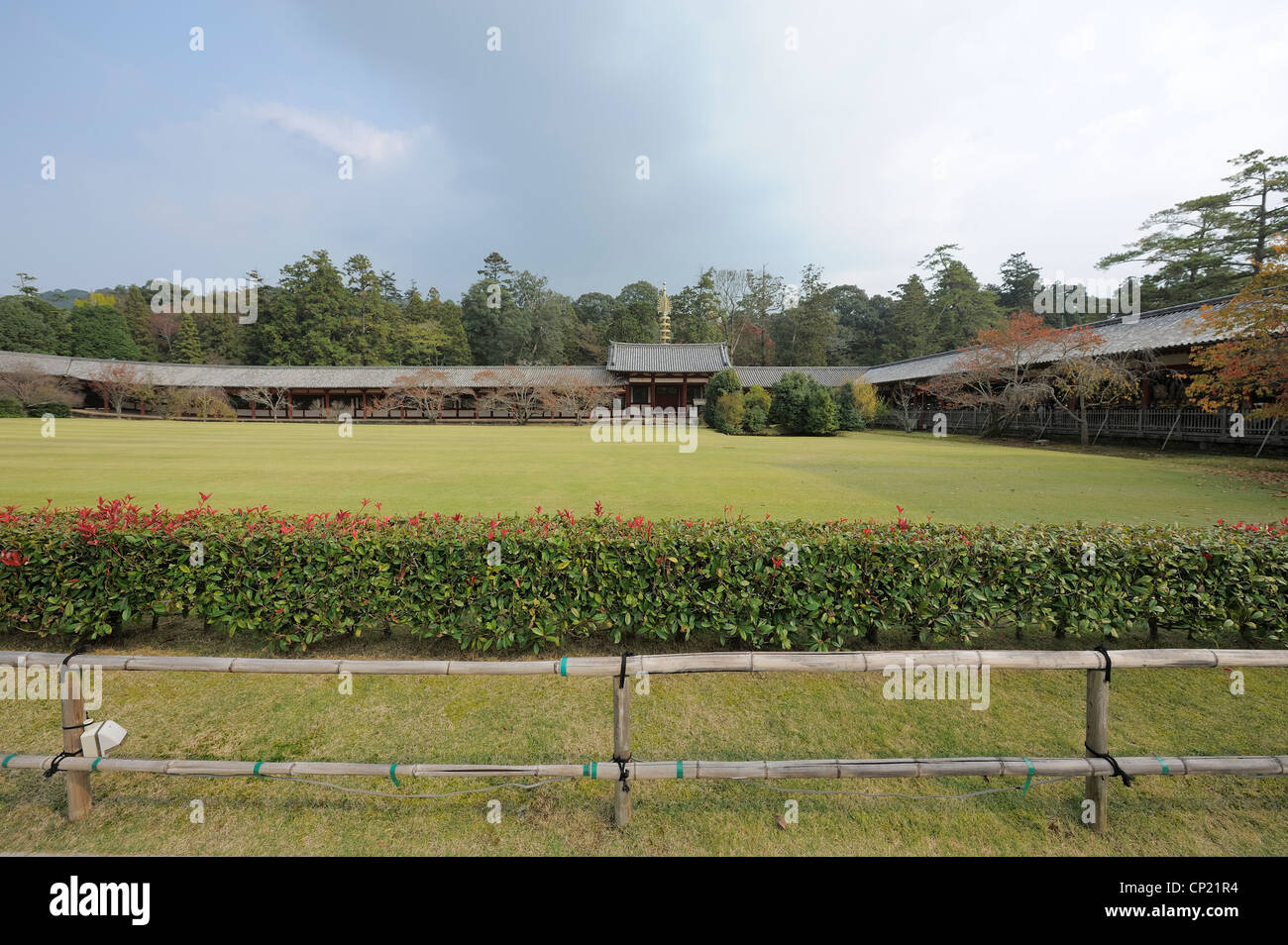 Bamboo hedge hi-res stock photography and images - Alamy