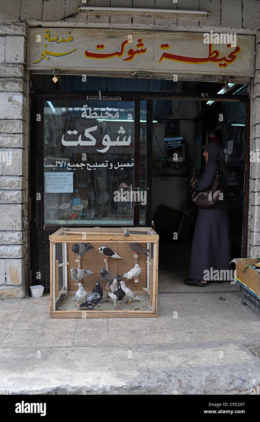 Palestinian Refugee High Resolution Stock Photography and Images - Alamy