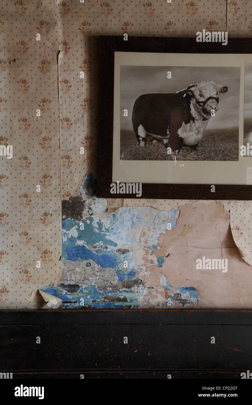 Craswall High Resolution Stock Photography and Images - Alamy