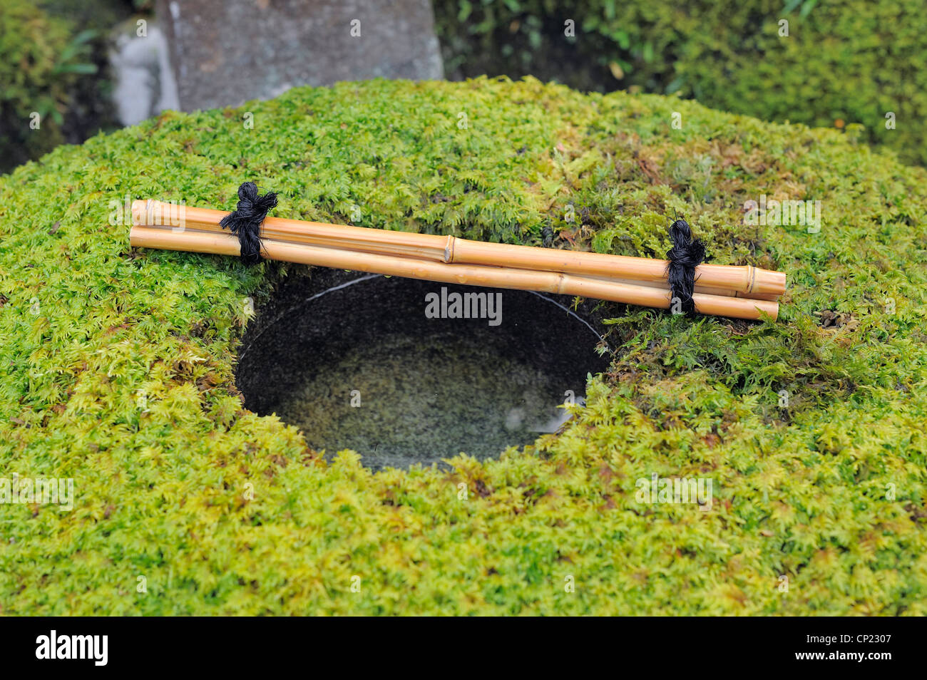 bamboo sticks on moss covered stone water basin, Japan Stock Photo - Alamy