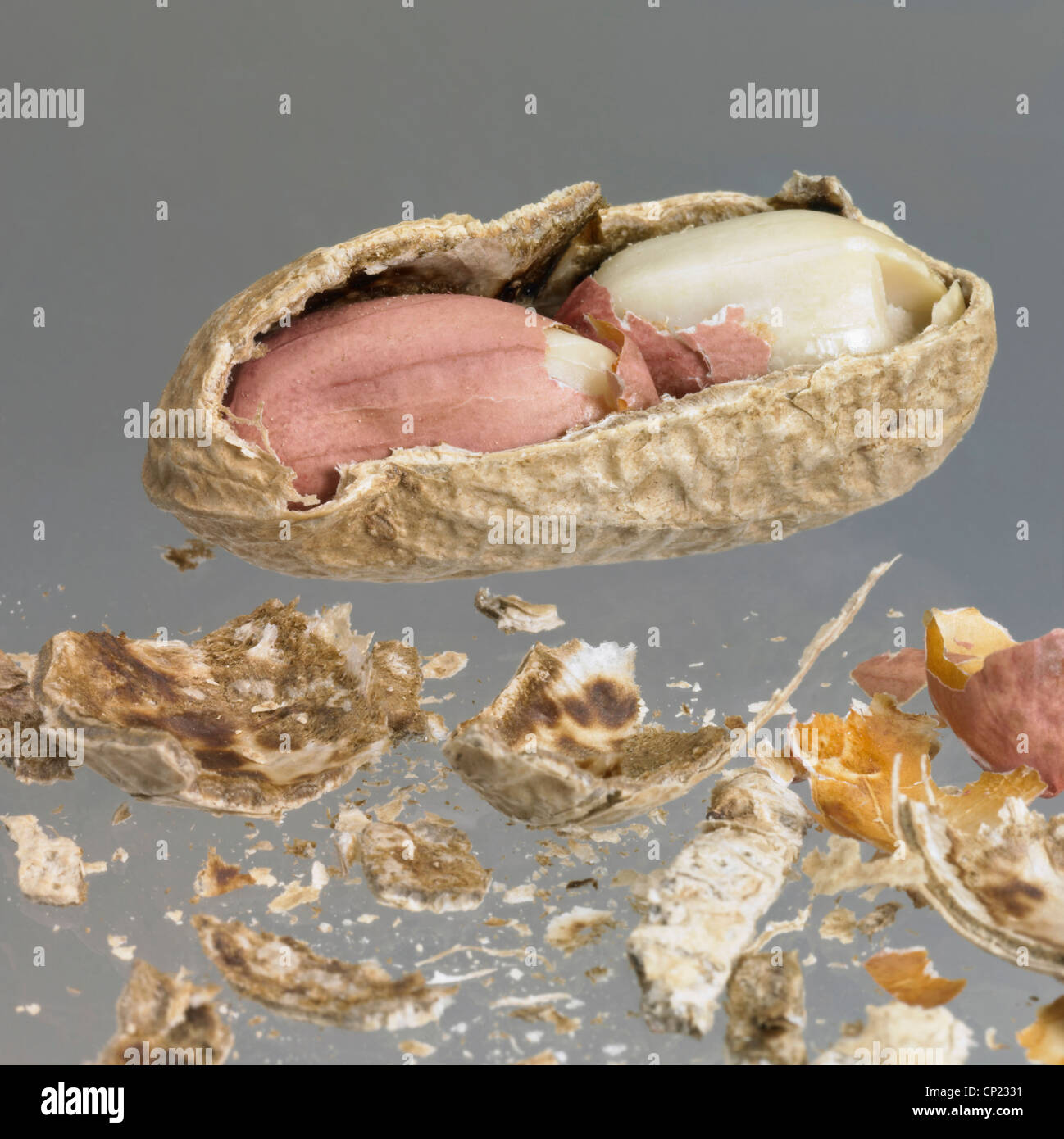 half peeled peanut in grey back Stock Photo - Alamy