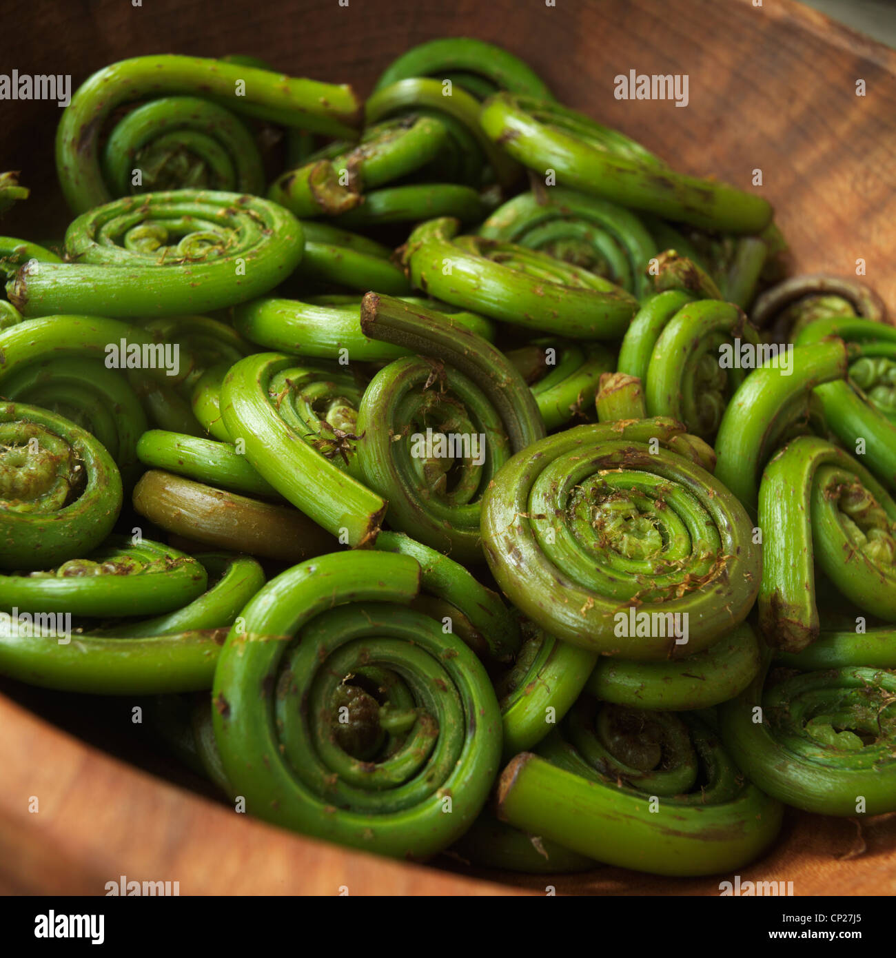 Fiddlehead ferns hi-res stock photography and images - Alamy