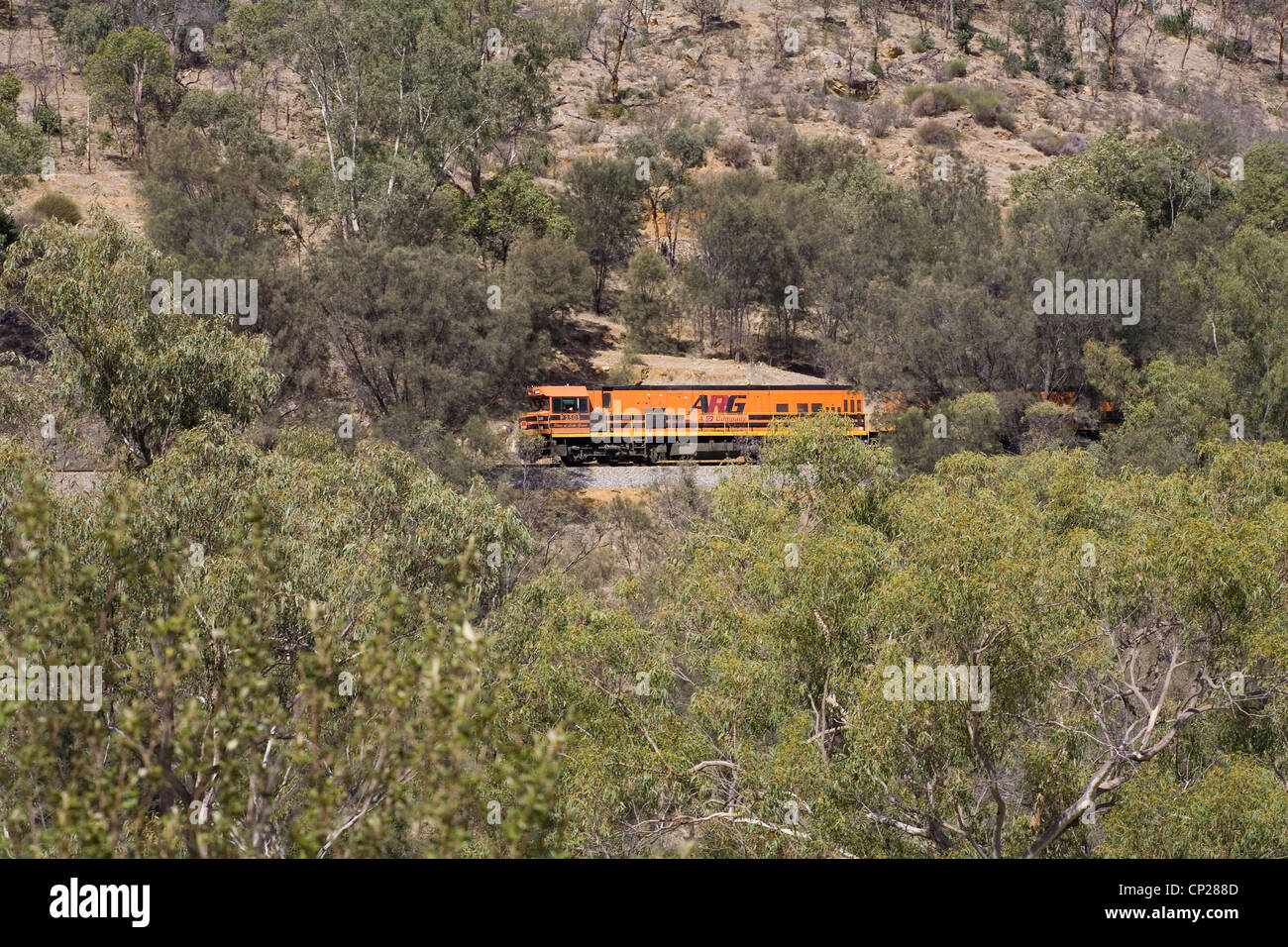 Train locomotive traveling in the Australian bush Stock Photo - Alamy