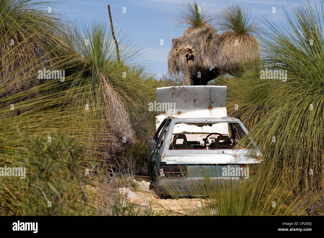 Dumped, abandoned and wrecked car in the Australian bush Stock Photo ...