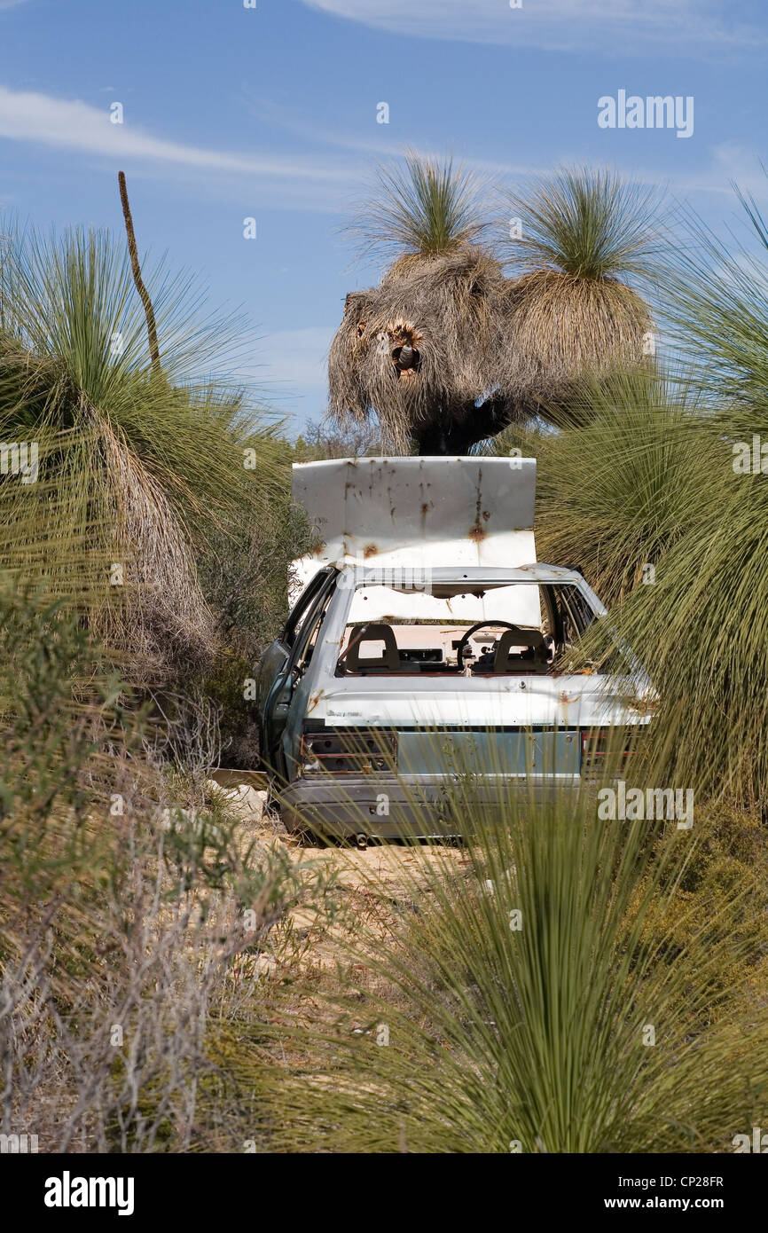 Abandoned wrecked and dumped car in the Australian bush Stock Photo - Alamy