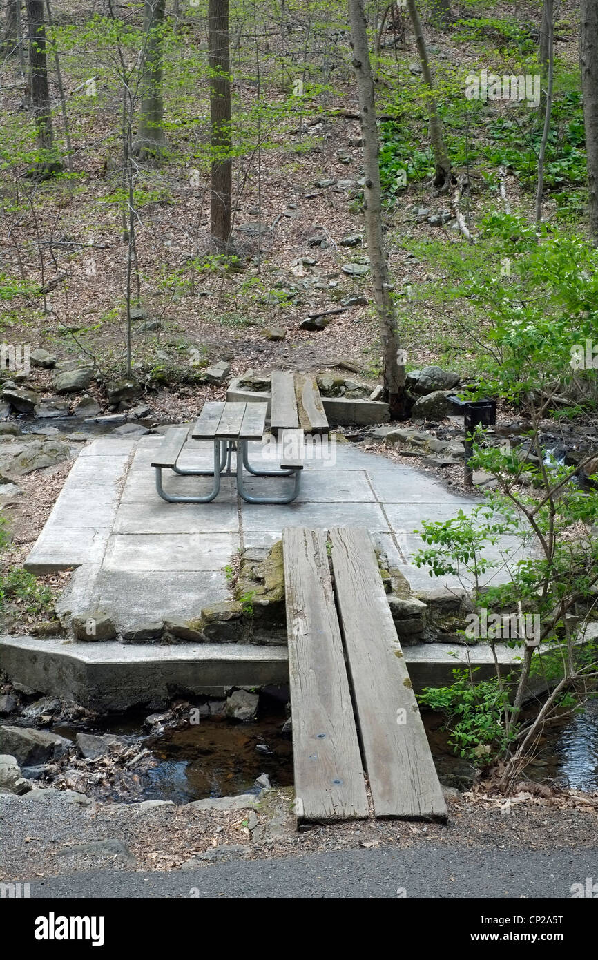Picnic table in the woods Stock Photo - Alamy