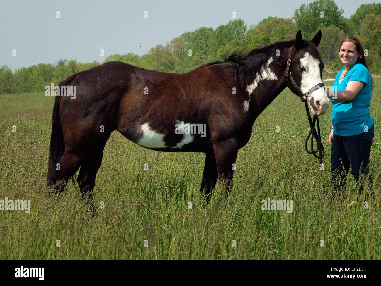 Paint Mare and Owner Stock Photo - Alamy