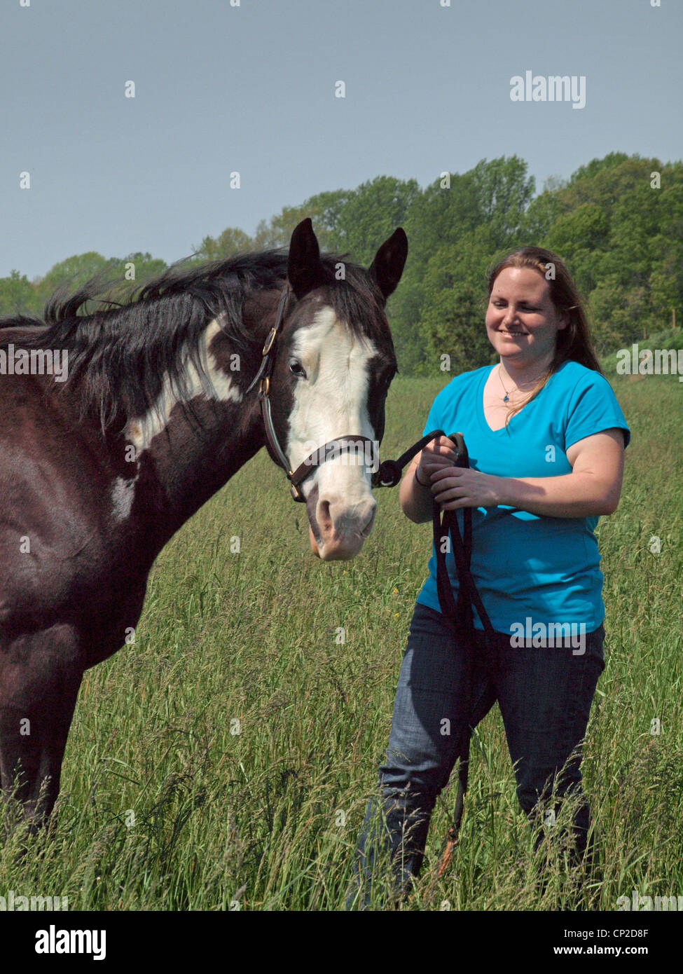 Paint mare hi-res stock photography and images - Alamy