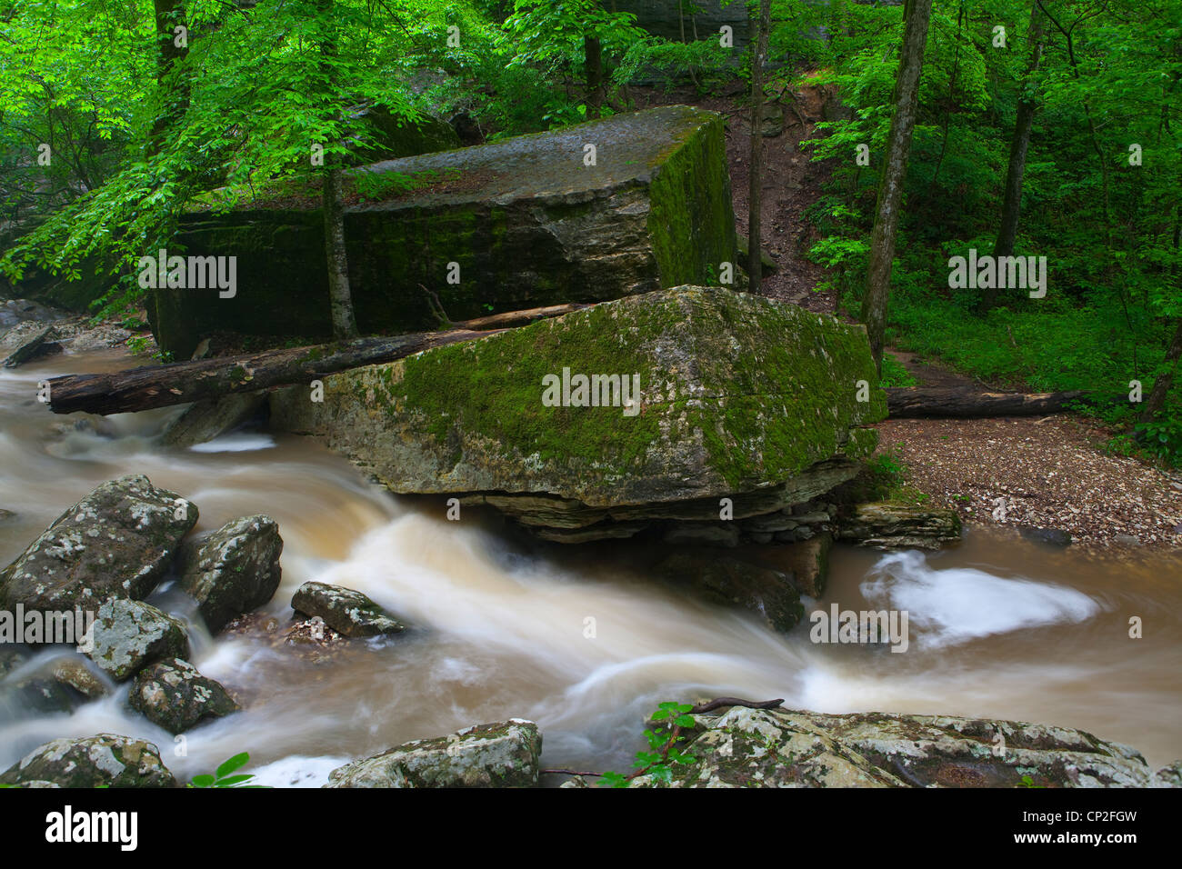 Eden Falls, Hidden Valley, Ozark Mountains of Arkansas – USA Stock ...