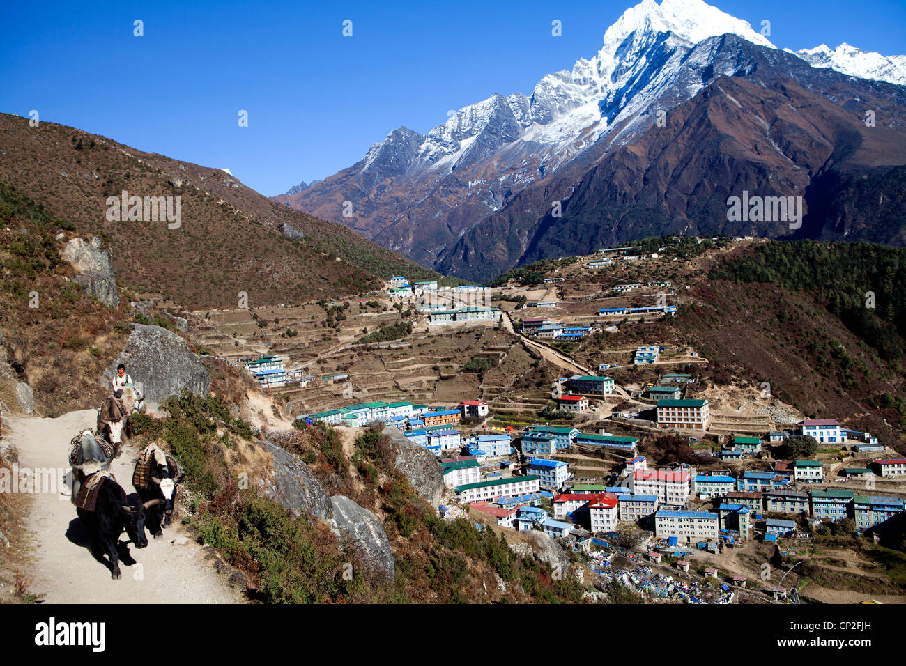 Nepal train hi-res stock photography and images - Alamy