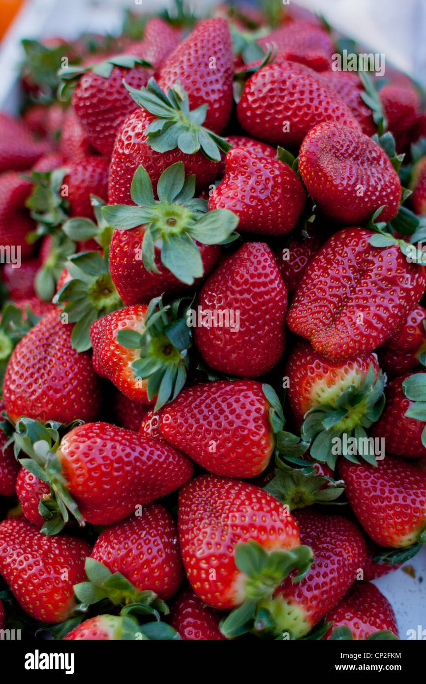 Farm fresh strawberries on display at a Spanish market Stock Photo - Alamy