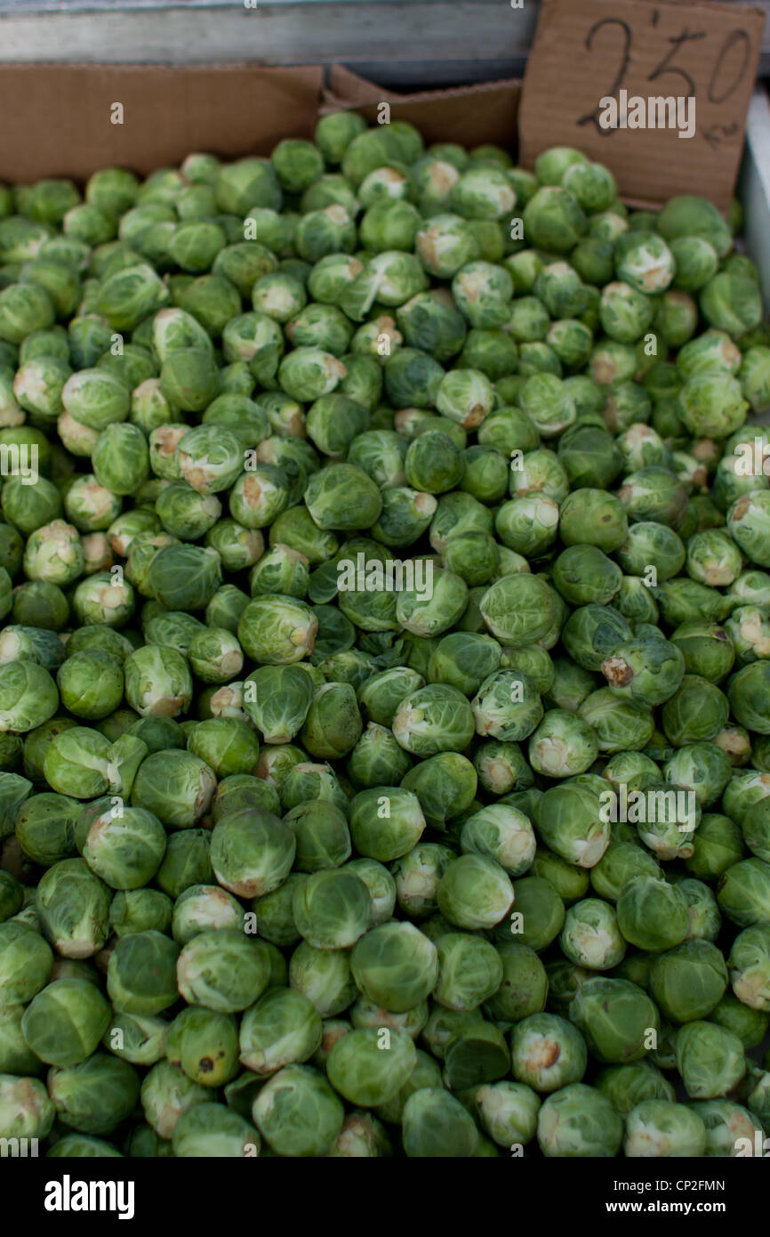 Farm fresh brussels sprouts on display at a Spanish market Stock Photo ...