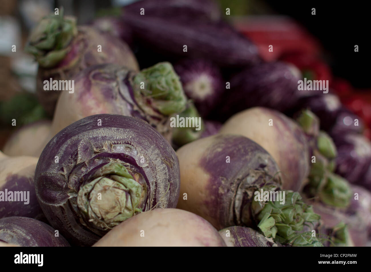 Farm fresh vegetables, including swede, eggplant and red peppers, on ...