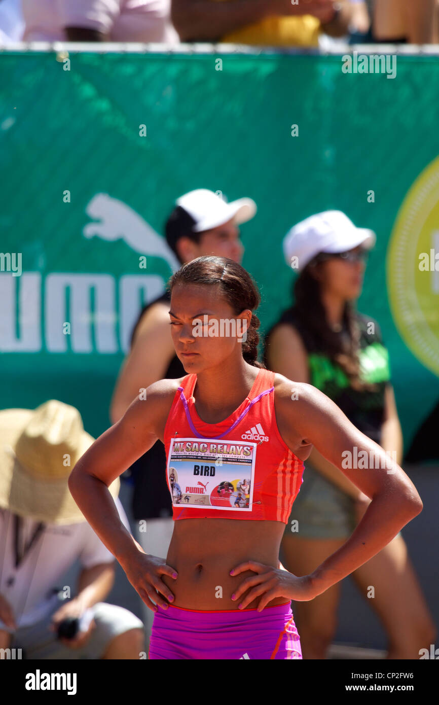 Tara bird hi-res stock photography and images - Alamy