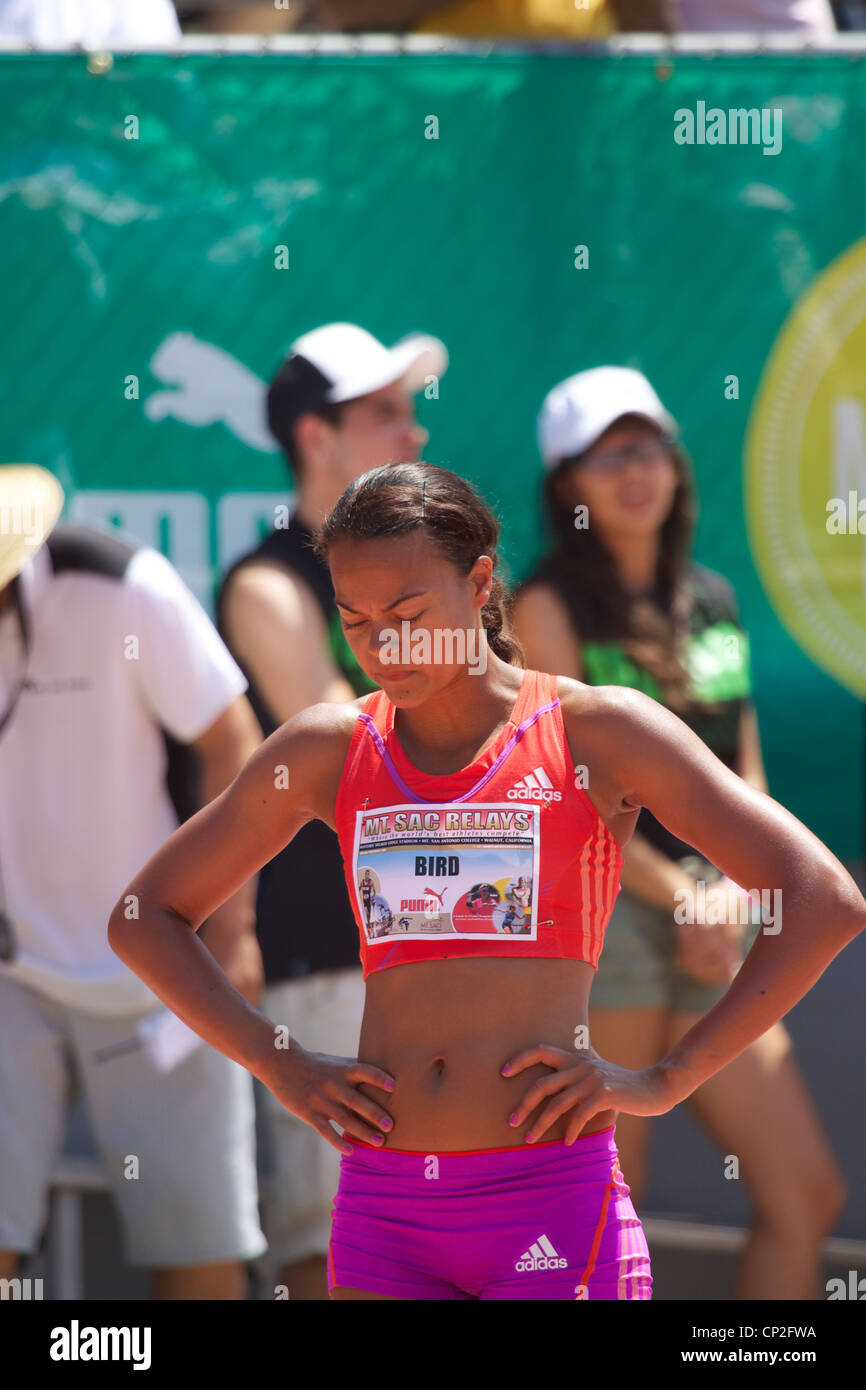 British track runner Tara Bird Stock Photo - Alamy