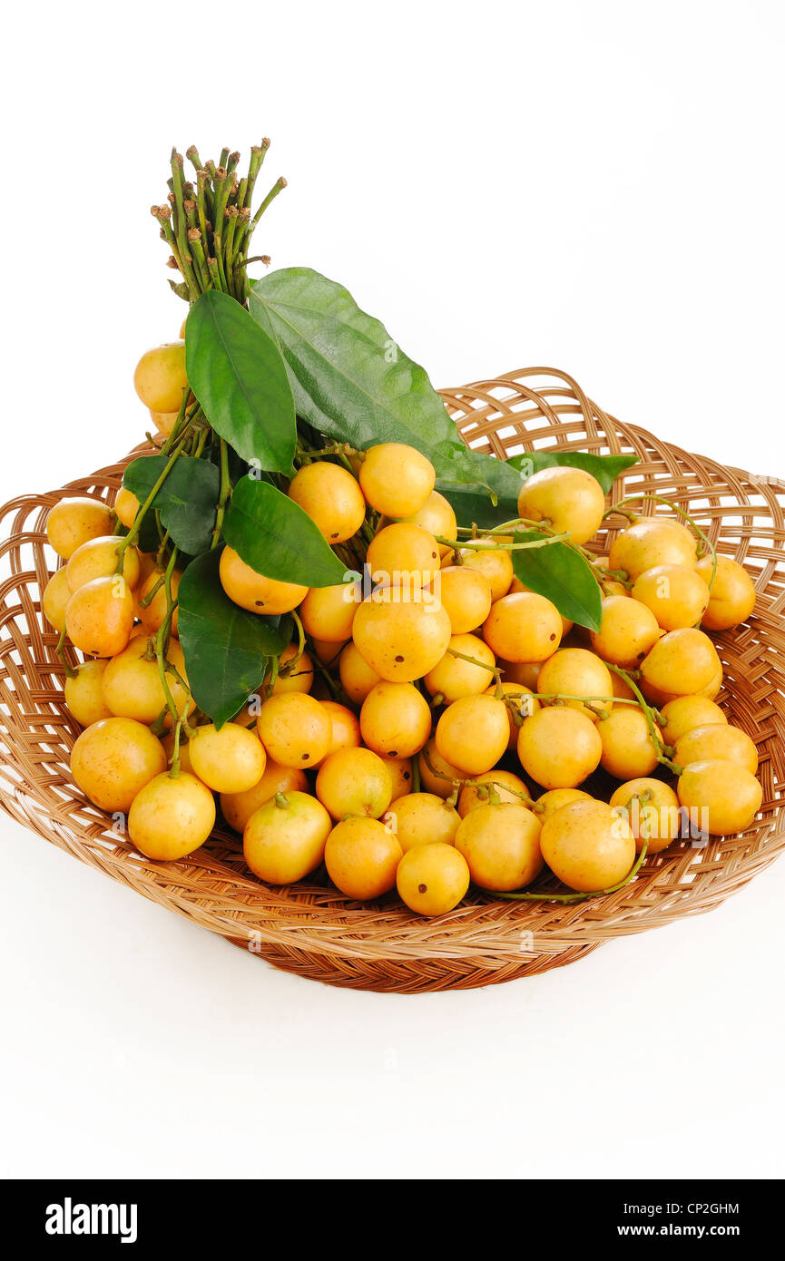 Burmese Grape Fruit High Resolution Stock Photography and Images - Alamy