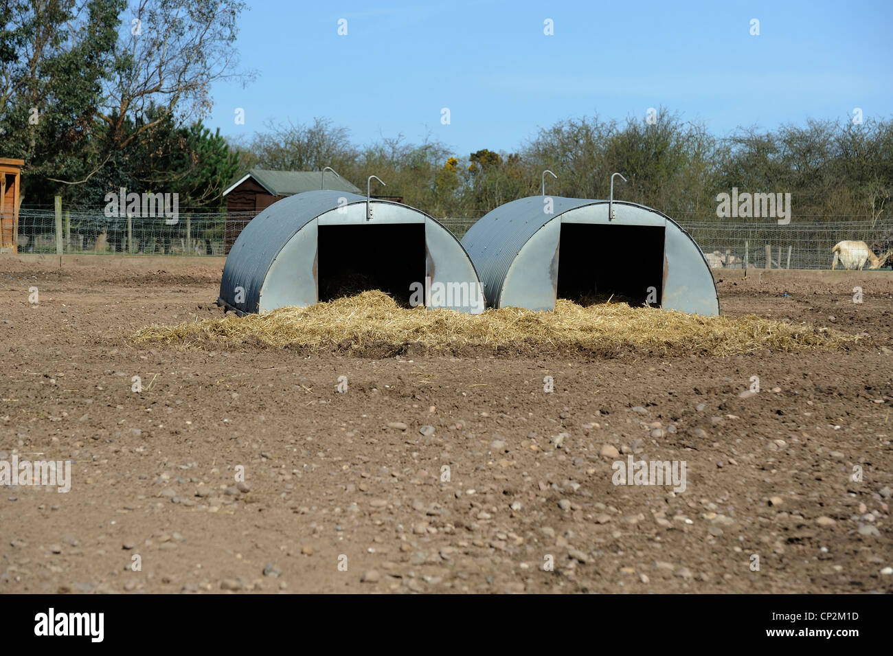 Pig shelters hi-res stock photography and images - Alamy