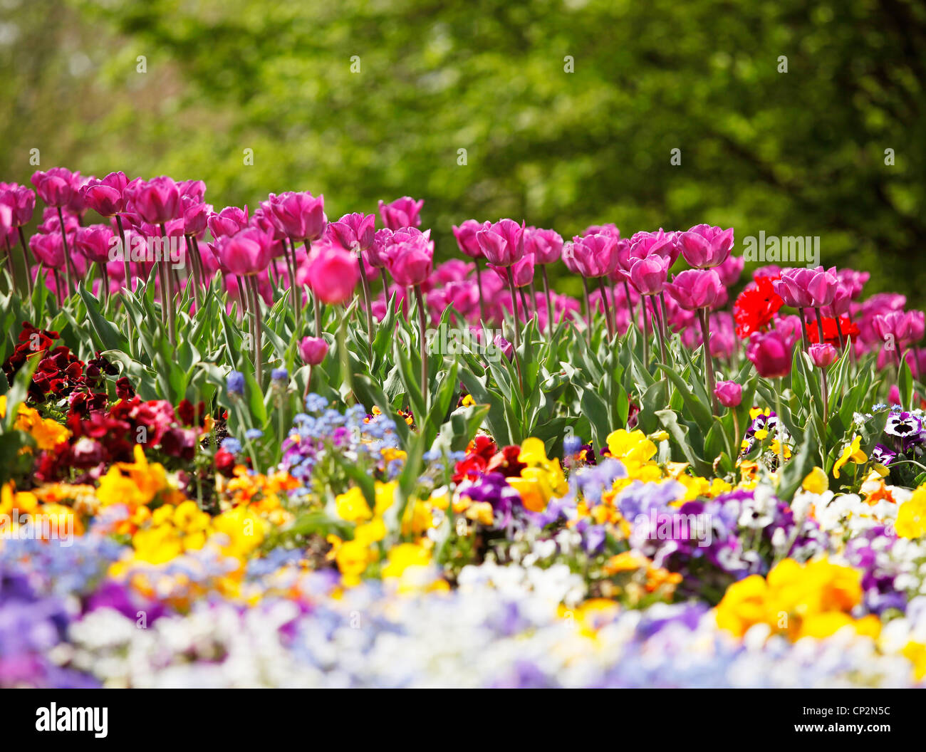 Blumenwiese spring hi-res stock photography and images - Alamy