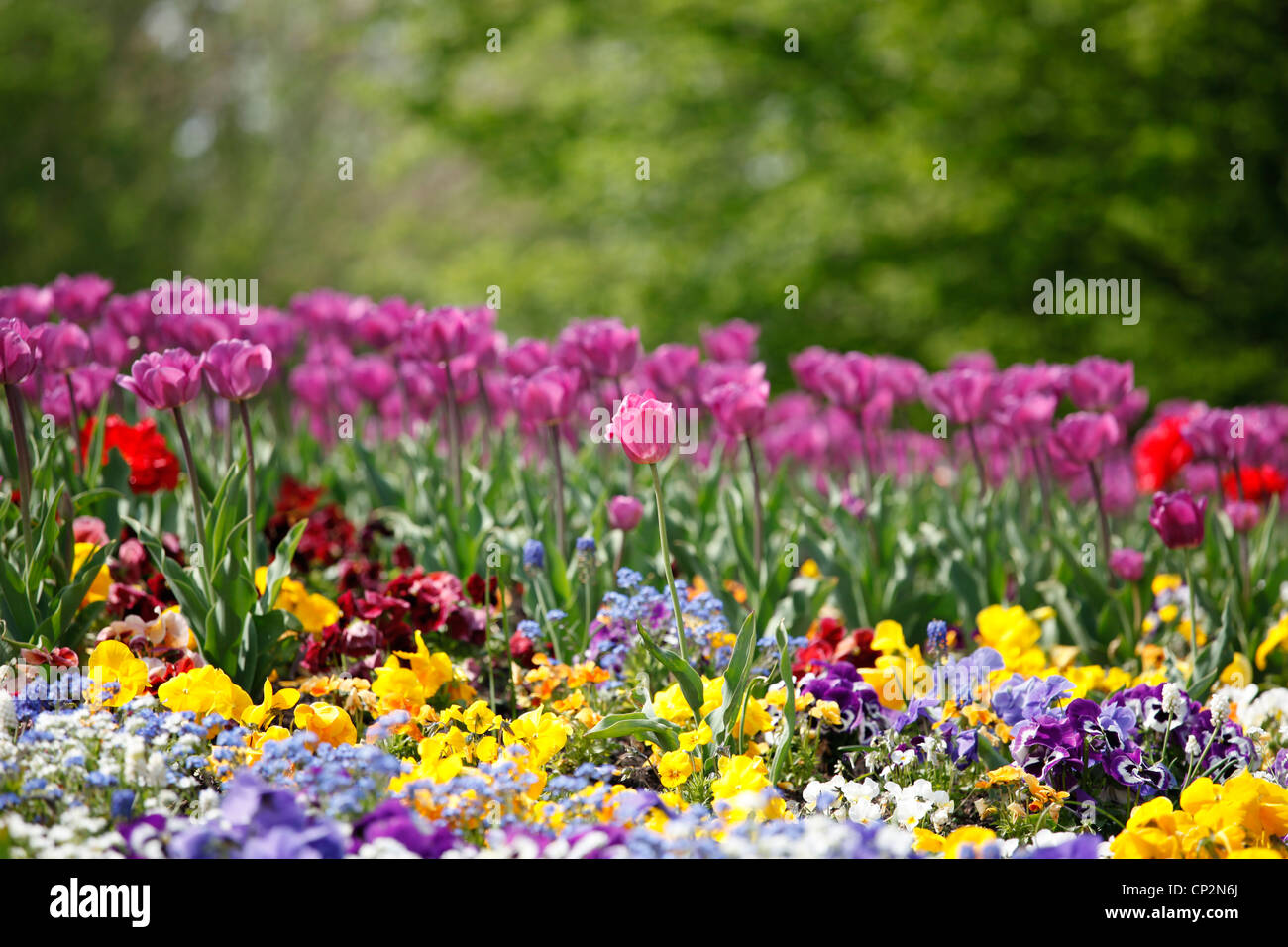 Blumenwiese garden hi-res stock photography and images - Alamy