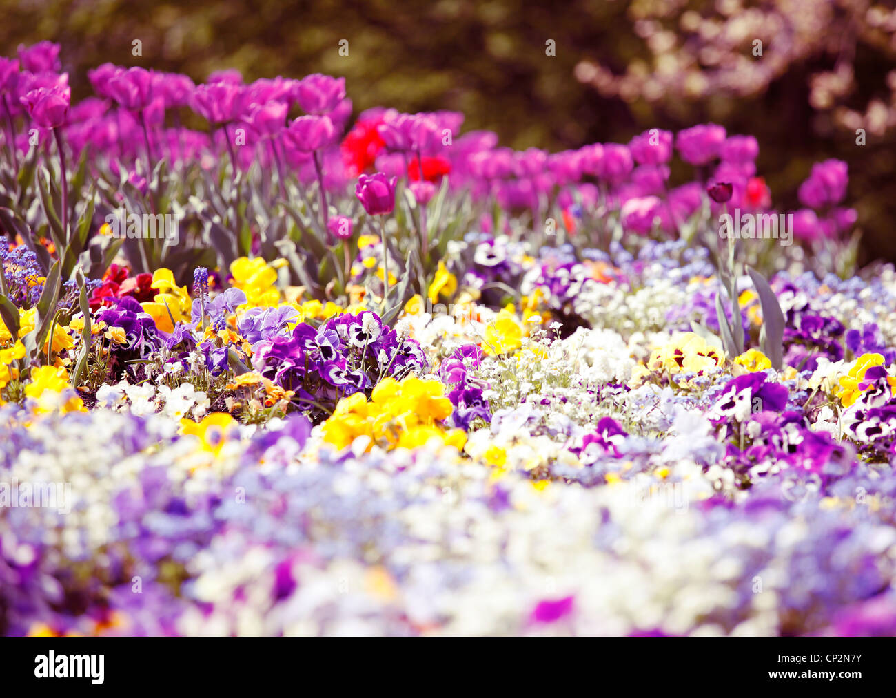 Garden diversity painting hi-res stock photography and images - Alamy