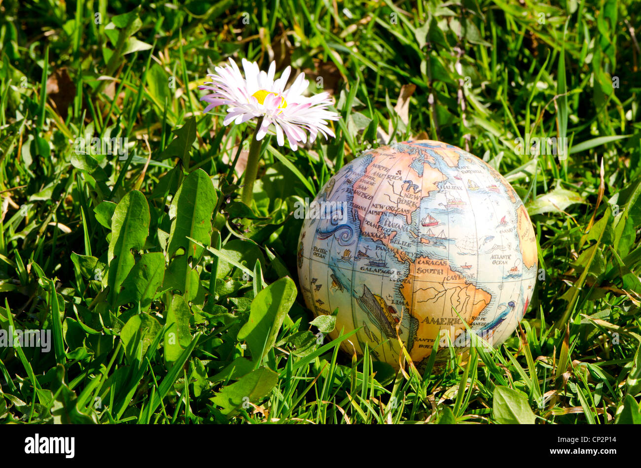earth globe on spring grass and flower Stock Photo - Alamy