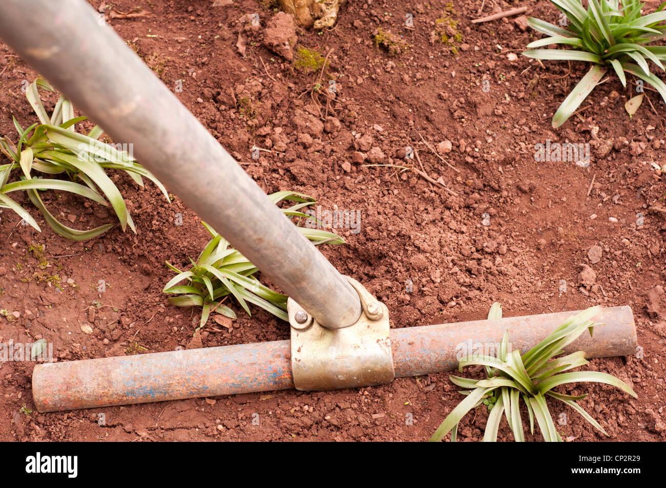 Ground scaffolding hi-res stock photography and images - Alamy