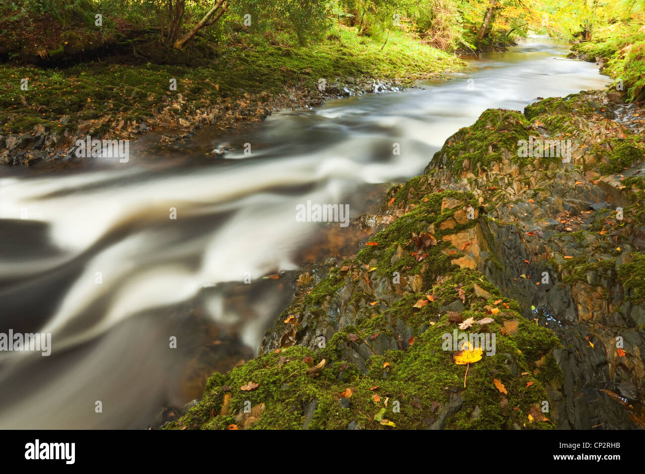 The river Teign in full flow Stock Photo - Alamy