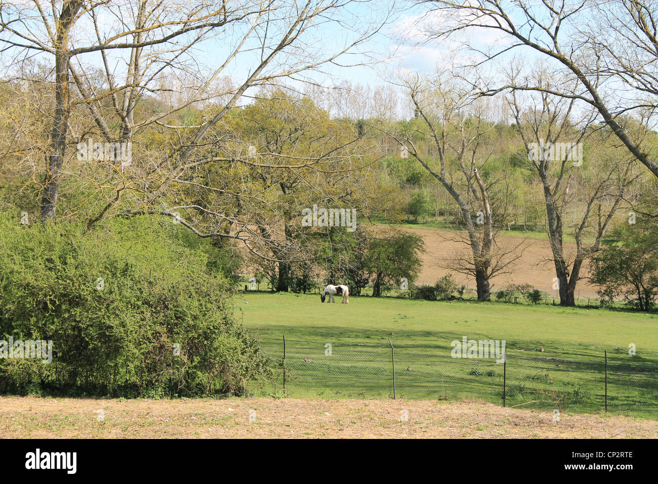 Pretty Country scene Stock Photo - Alamy
