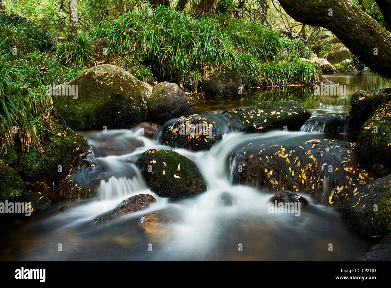 The water gently cascades down the west Dart river Stock Photo - Alamy