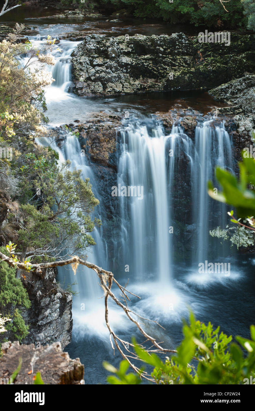 Pencil Pine Falls, cradle mountain, Tasmania, Australia Stock Photo - Alamy