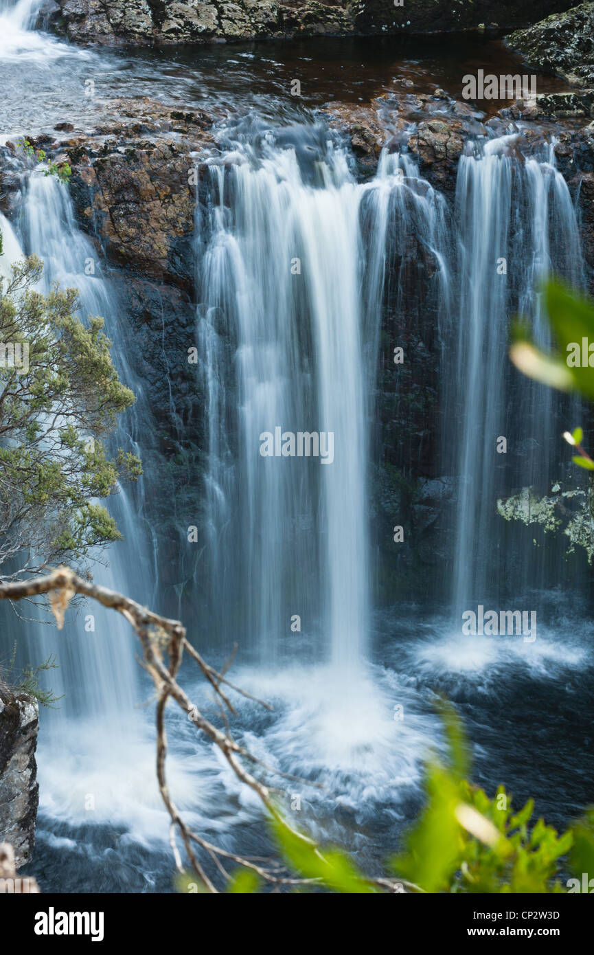 Pencil Pine Falls, cradle mountain, Tasmania, Australia Stock Photo - Alamy Pencil Pine Falls, cradle mountain, Tasmania, Australia Stock Photo - Alamy