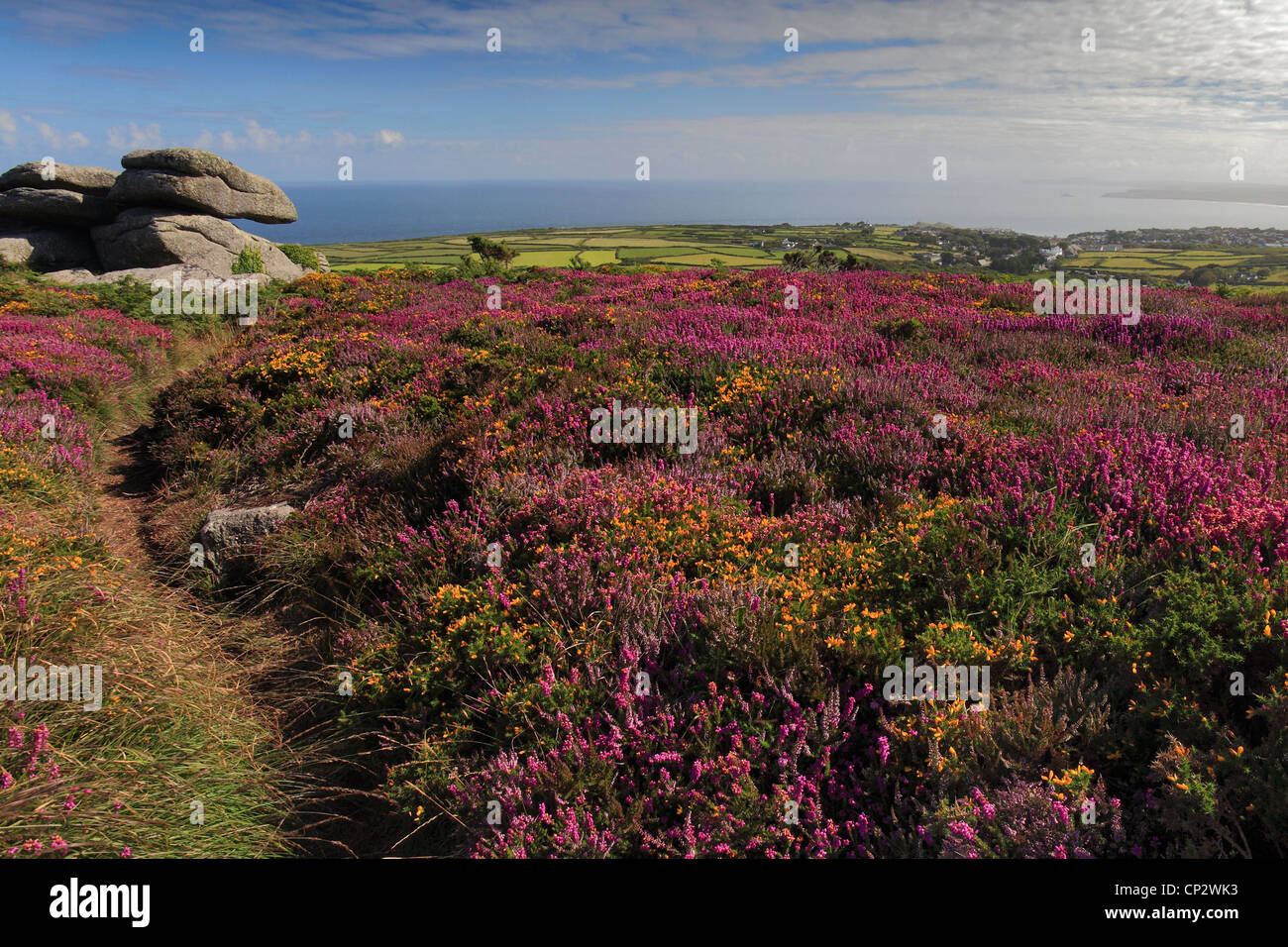 Rosewall hi-res stock photography and images - Alamy