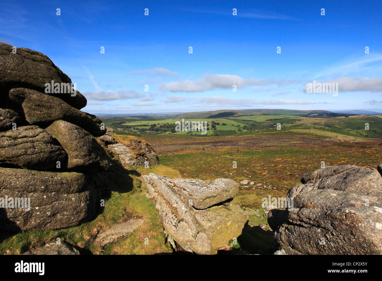 Summer, Haytor Down, Haytor Rocks, Dartmoor National Park, Devon County ...