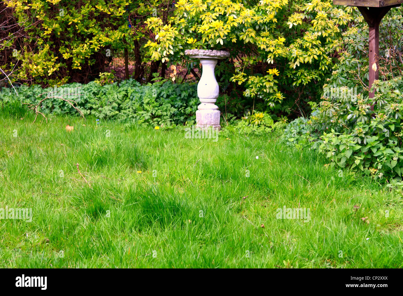 Overgrown lawns hi-res stock photography and images - Alamy