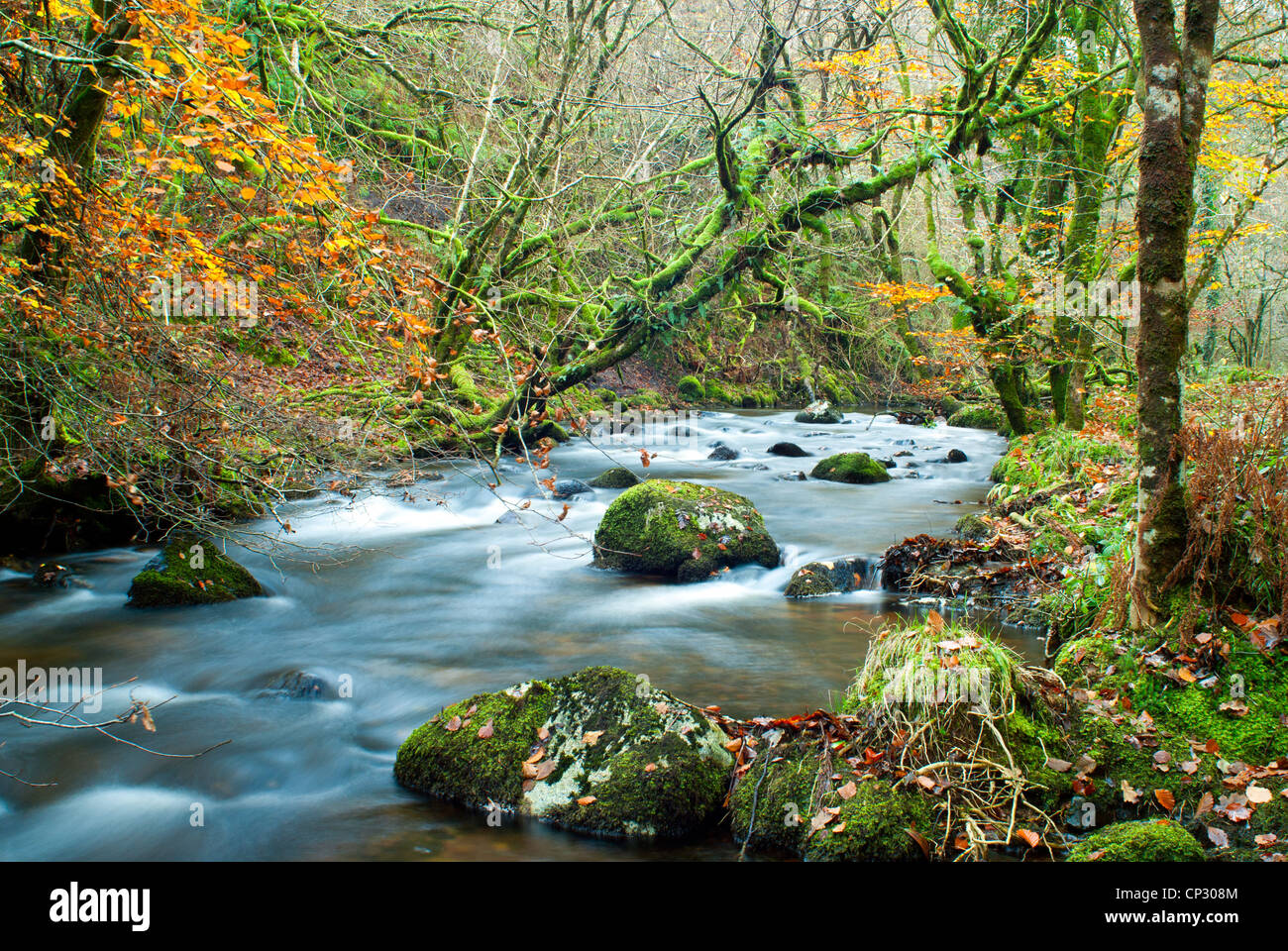 River Taw running through Skaigh Valley Devon Stock Photo - Alamy