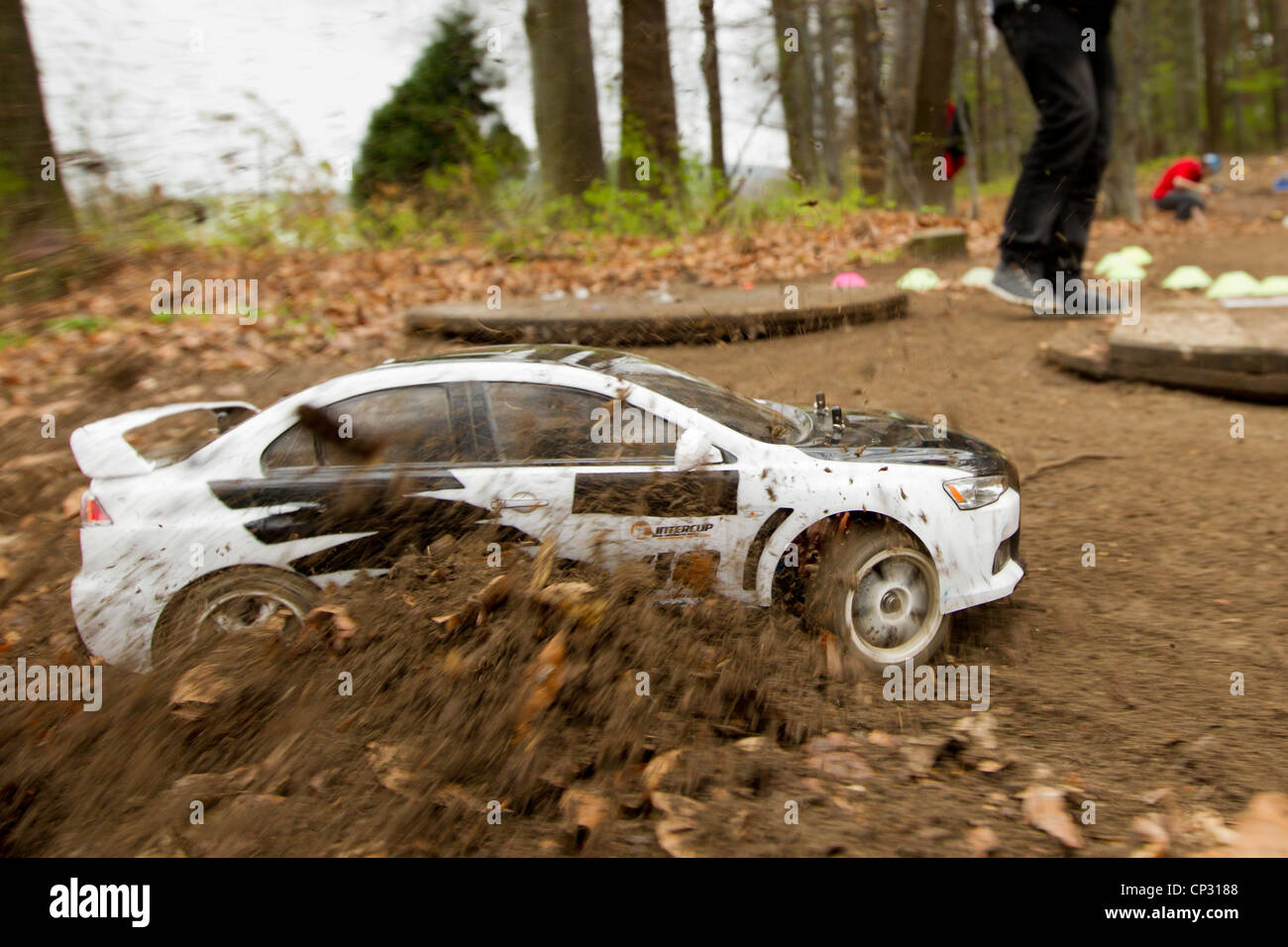 race, races, RC car, model, toy, rallye, remote control, controlled ...