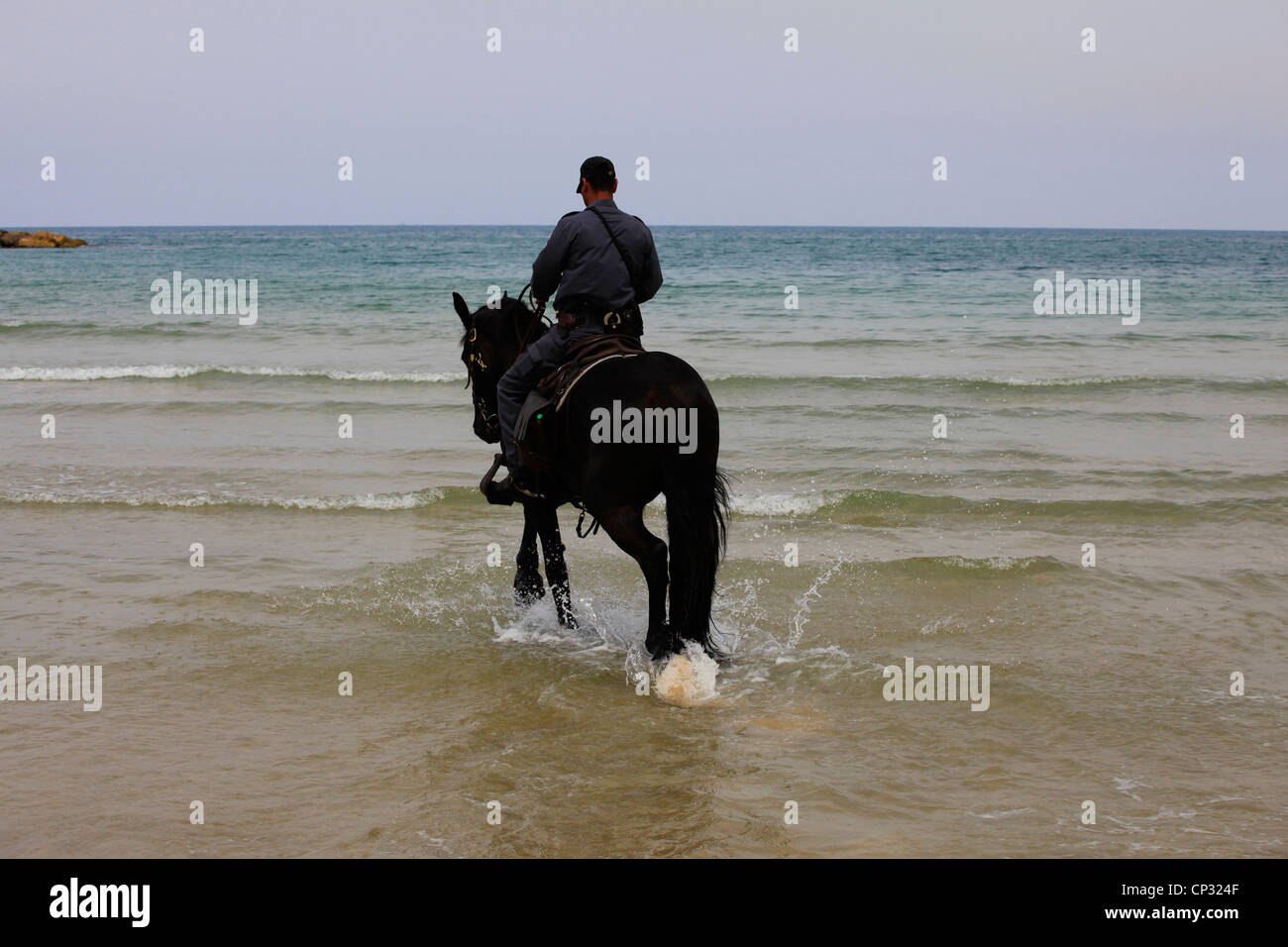 An Israeli policeman from the cavalry unit mounted on horse at the ...