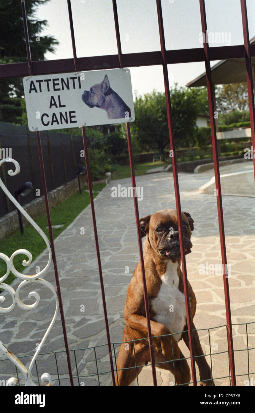 A well guarded and gated home in Italy Stock Photo - Alamy