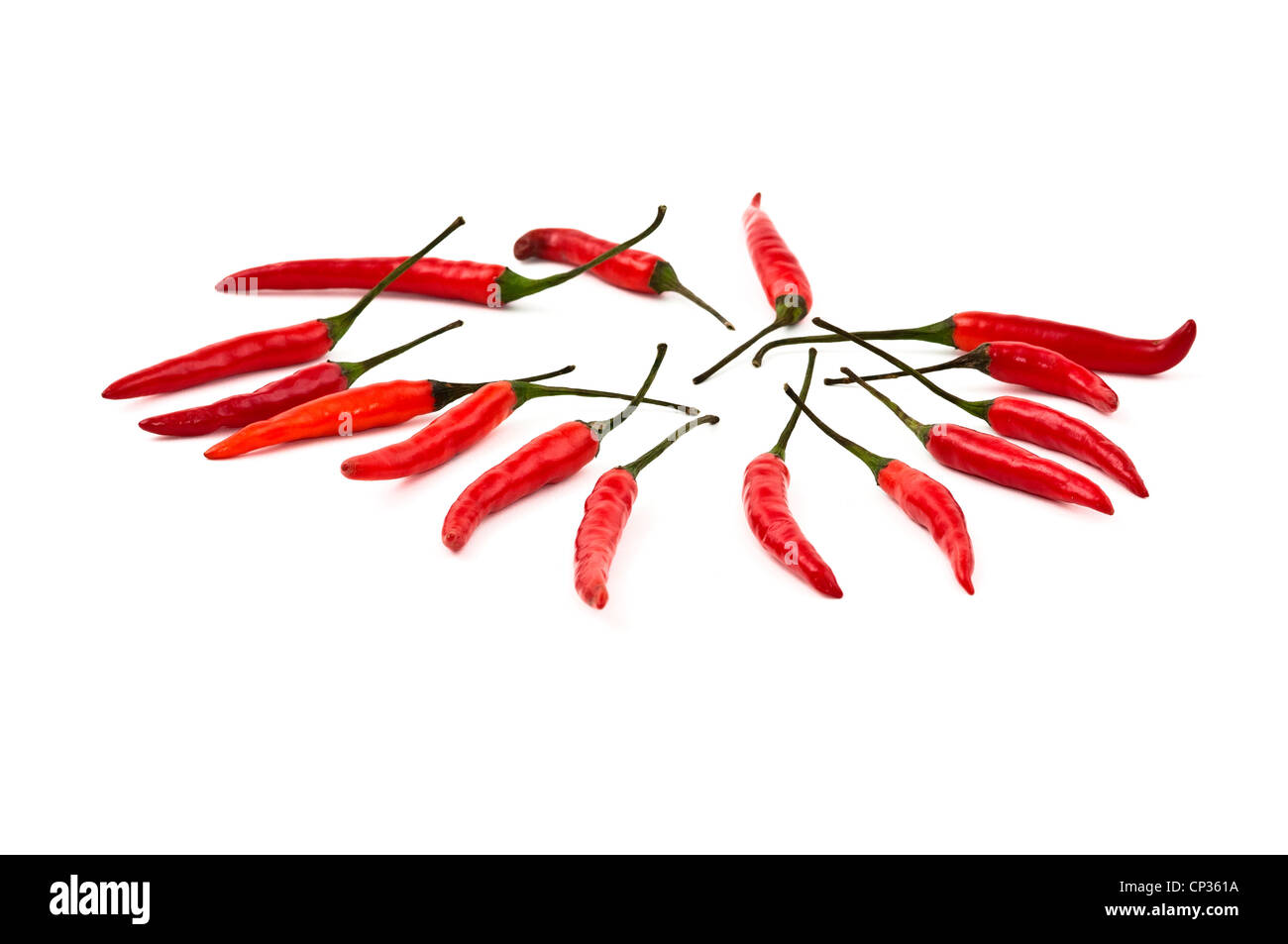 CAPSICUM ANNUUM RED CHILI PEPPER Stock Photo - Alamy