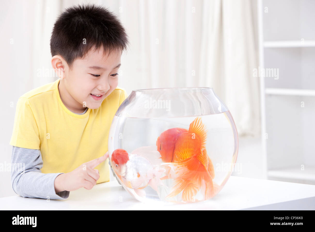 Boy Two Goldfish High Resolution Stock Photography and Images - Alamy