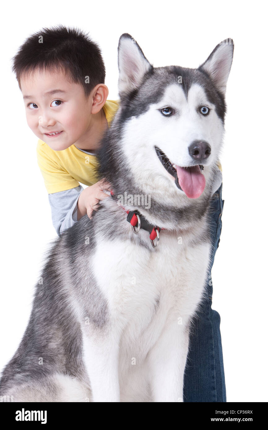 Cute little boy playing with a Husky dog Stock Photo - Alamy