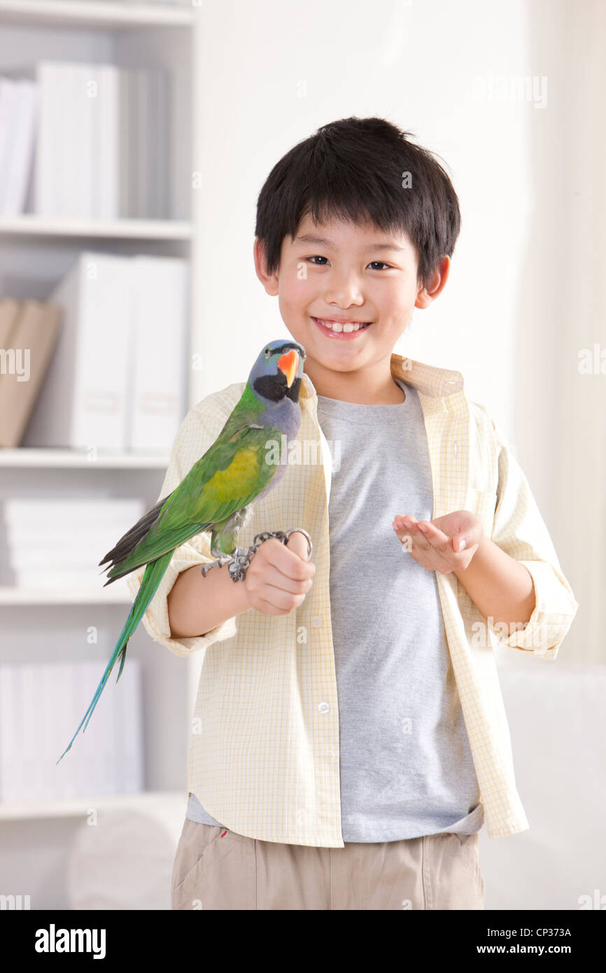 Little boy playing with a pet parrot Stock Photo - Alamy