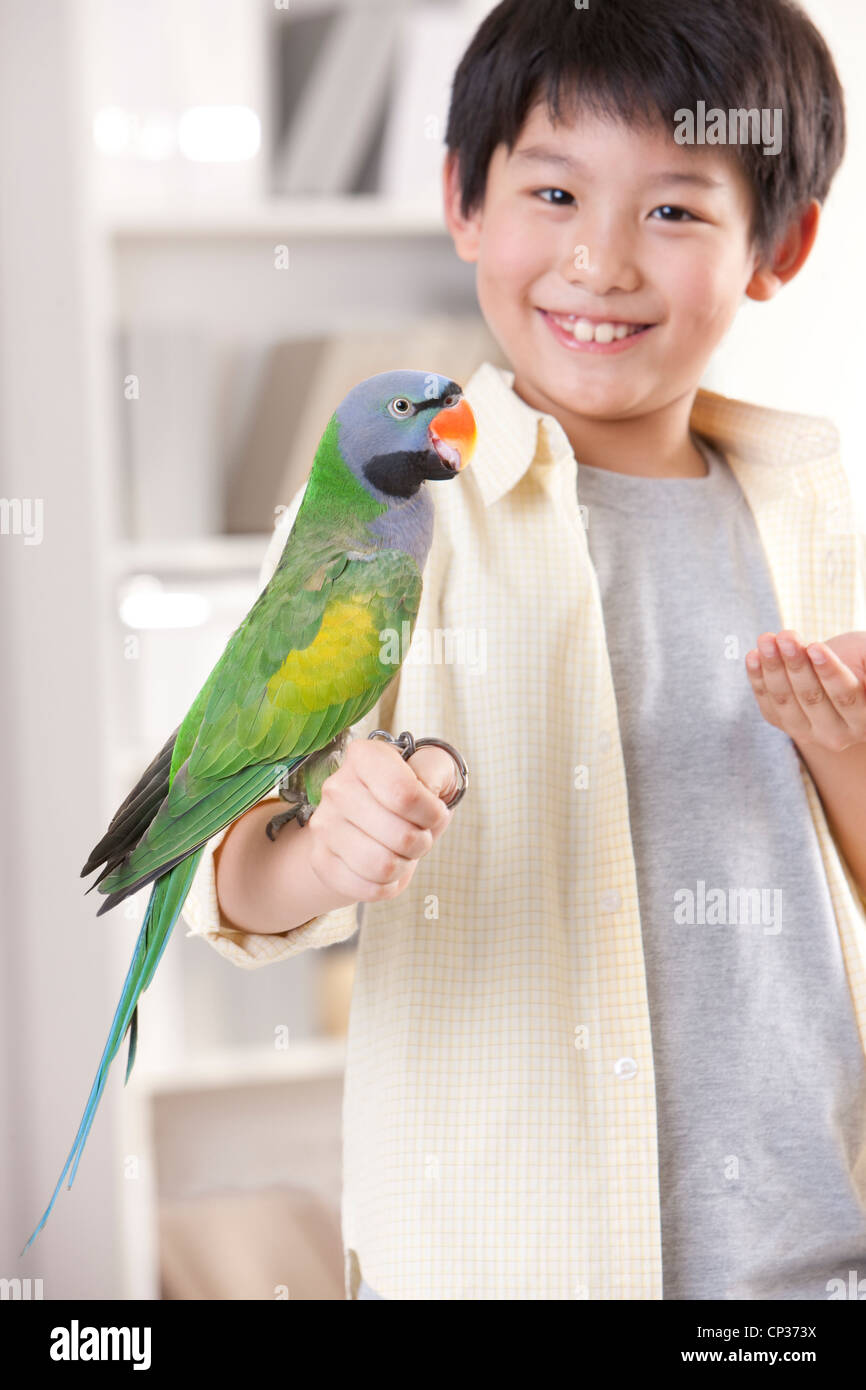 Little boy playing with a pet parrot Stock Photo - Alamy