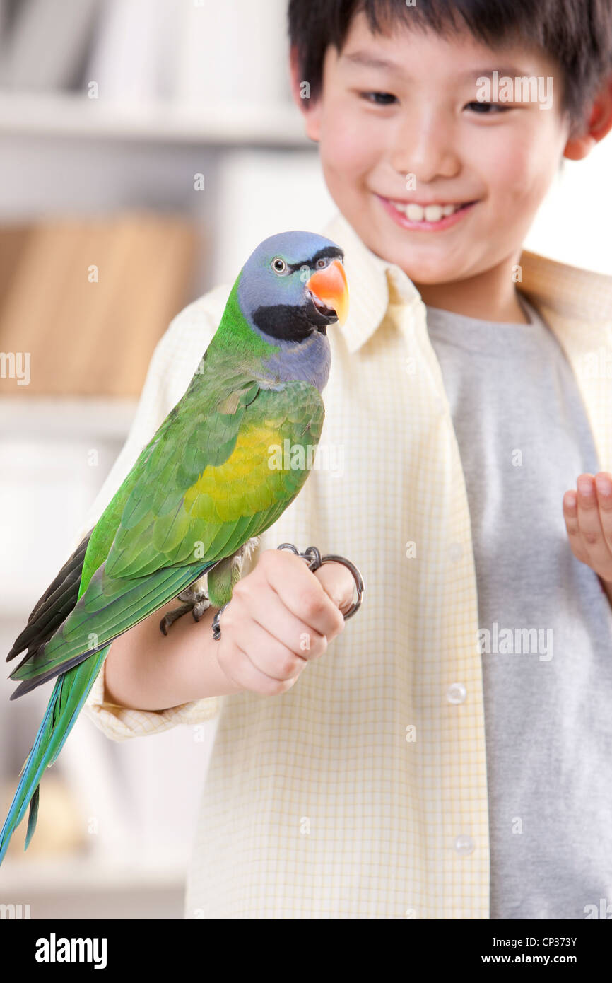 Asian boy with pet bird hi-res stock photography and images - Alamy