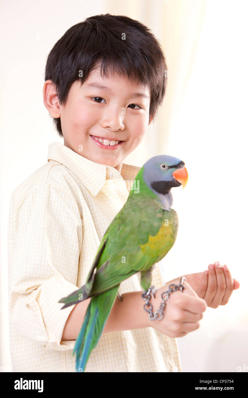 Little boy playing with a pet parrot Stock Photo - Alamy