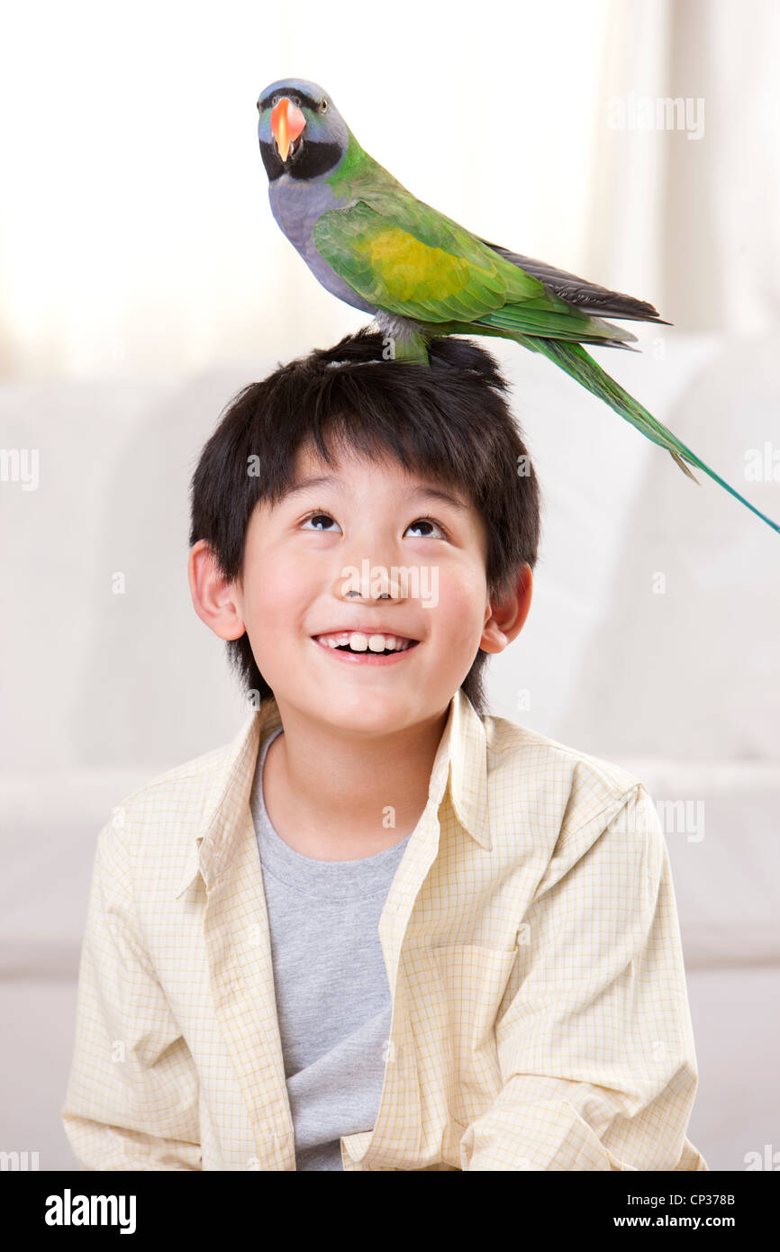 Boy bird head hi-res stock photography and images - Alamy