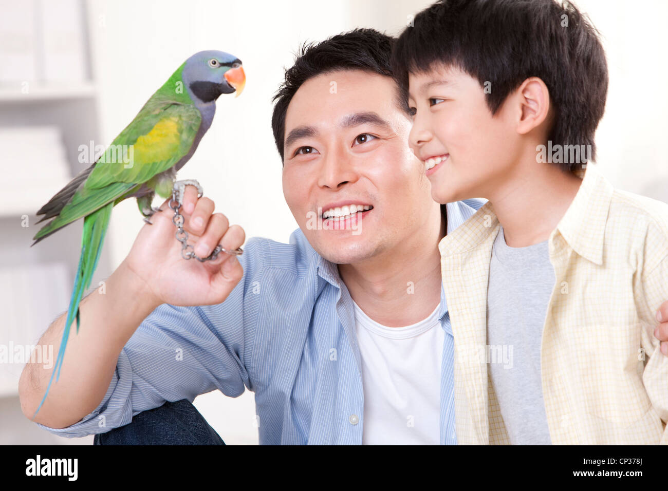 Father and son playing with a pet parrot Stock Photo - Alamy