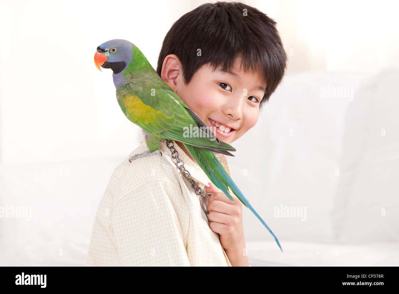Little boy playing with a pet parrot Stock Photo - Alamy